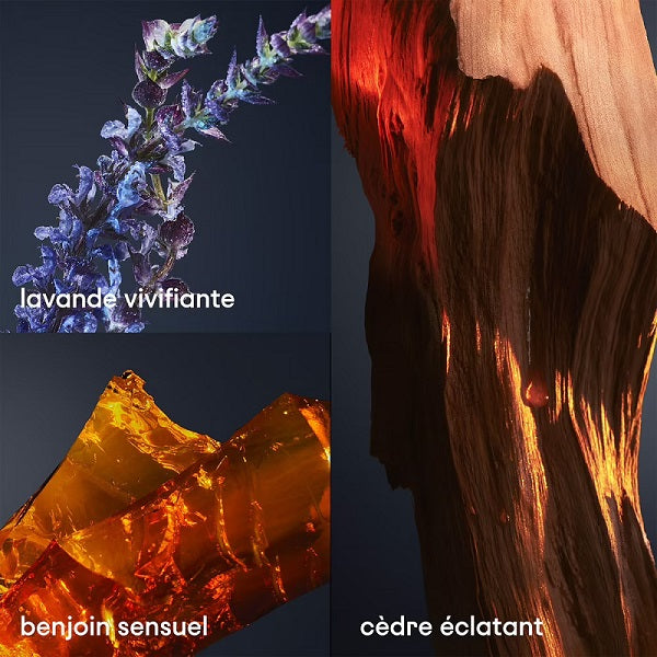 One Million Royal Parfum Paco Rabanne - Kosmenia Maroc